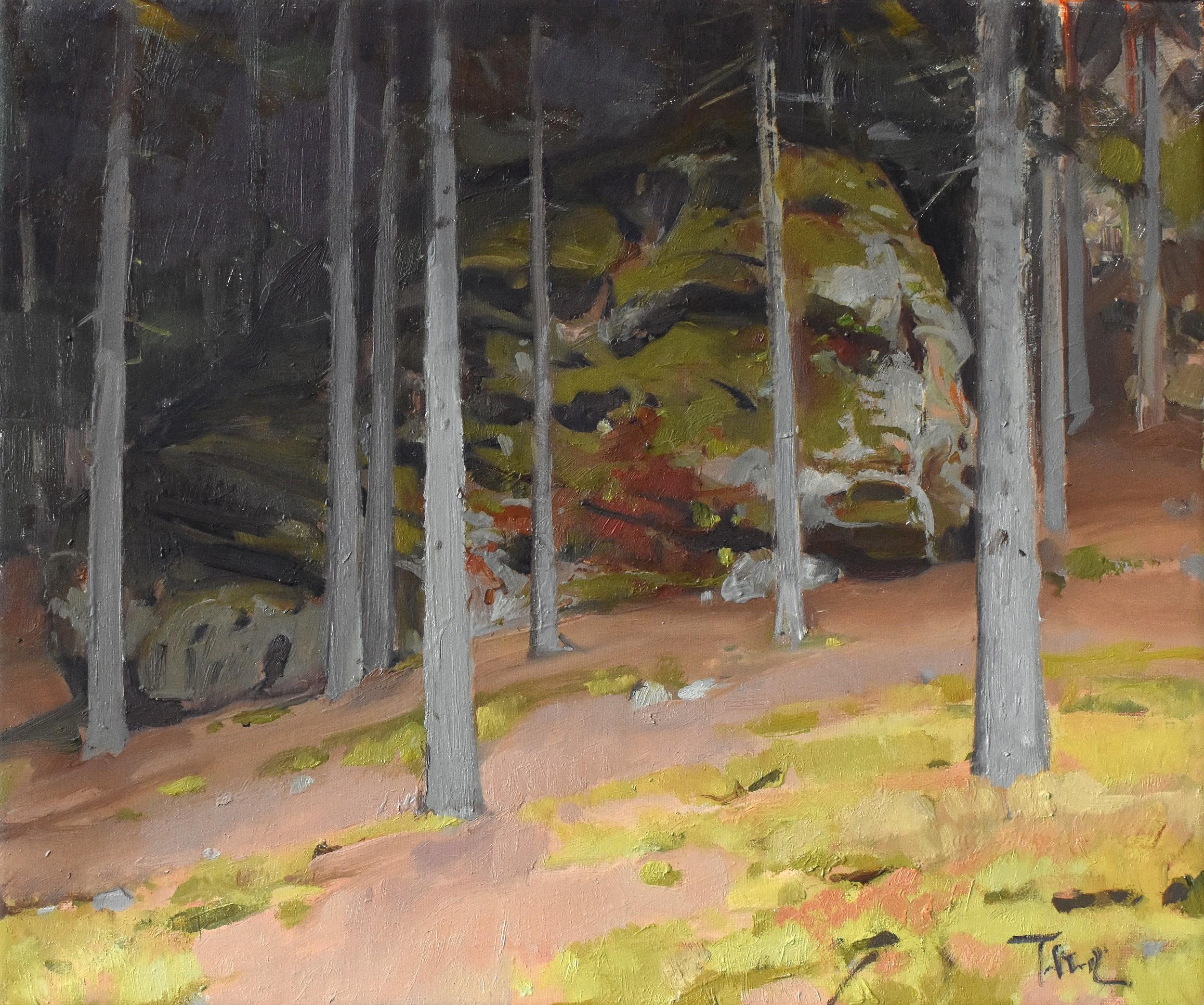 Tomáš Honz | Krajem Chrudimky-obrazy | ART GALLERY - Svetlana & Lubos ...